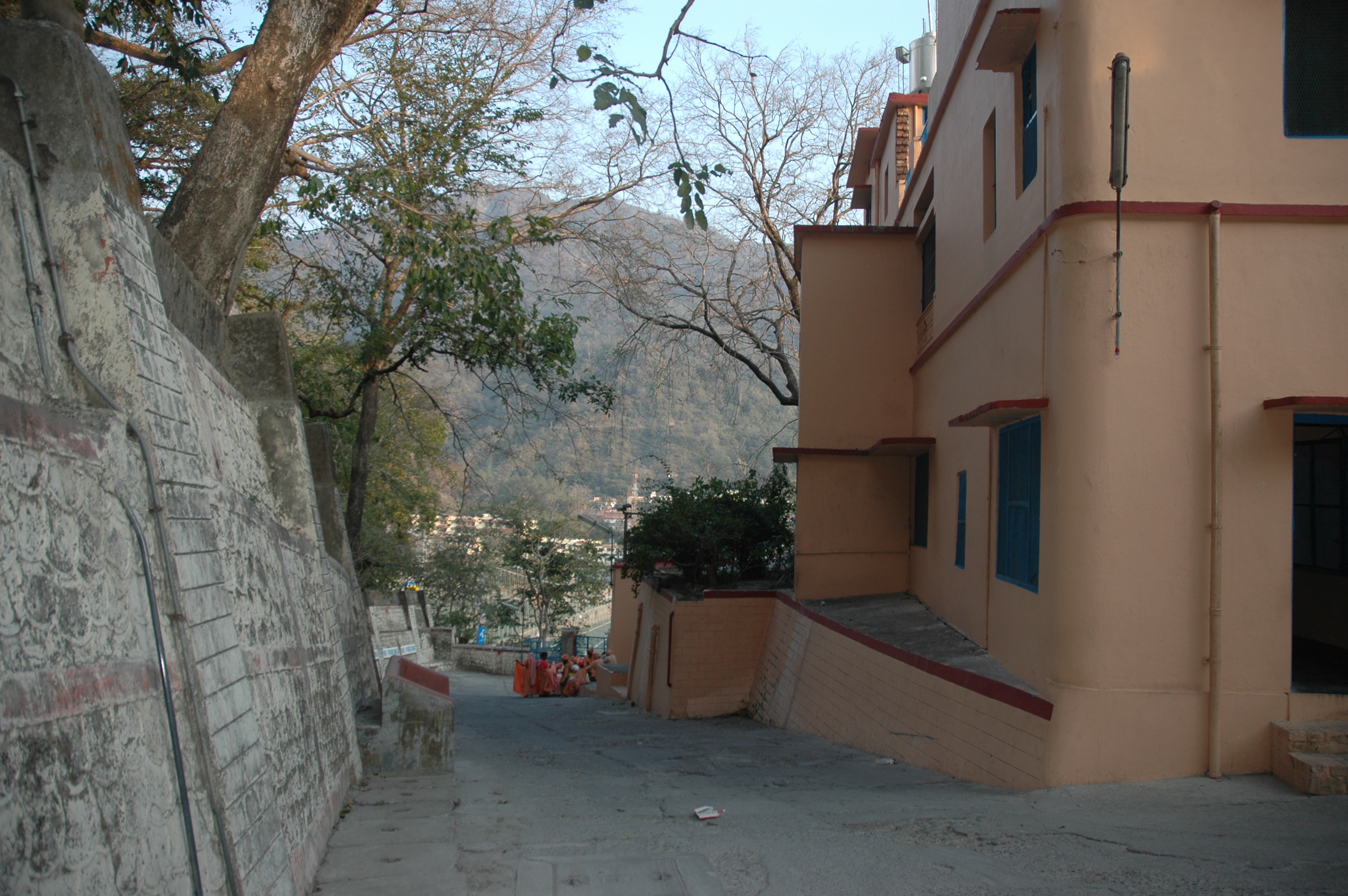 Around the Ashram - Image Gallery | The Divine Life Society