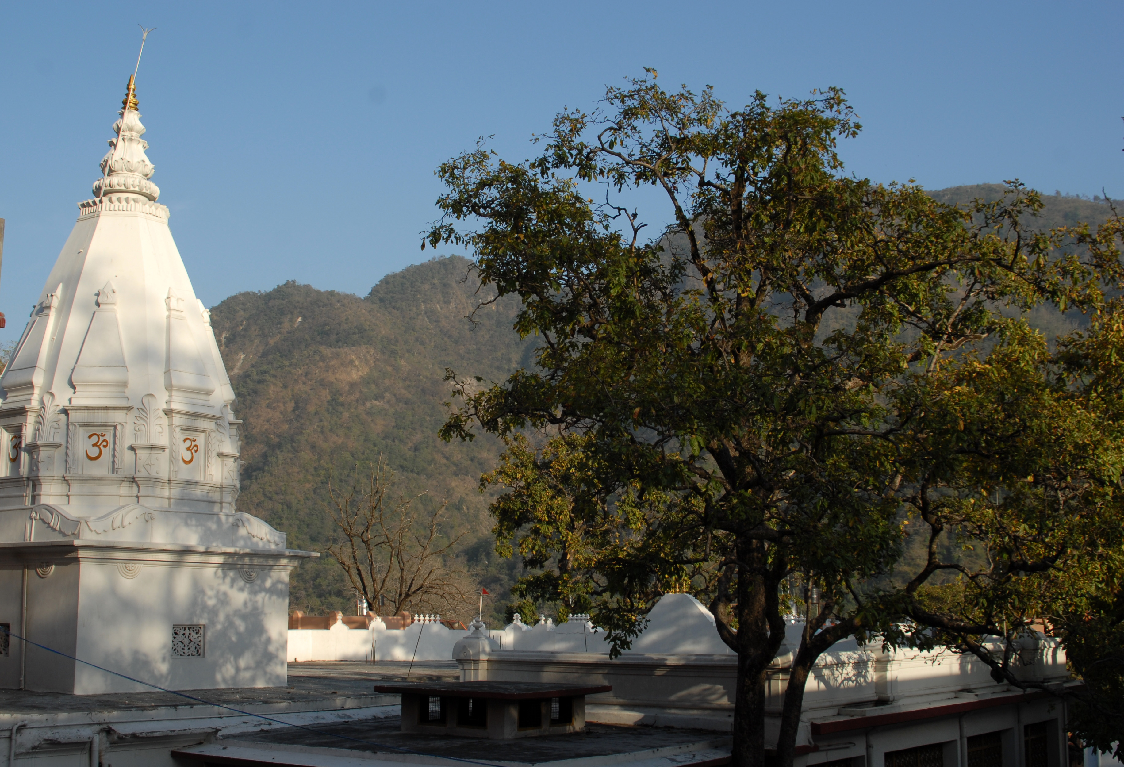 Around the Ashram - Image Gallery | The Divine Life Society