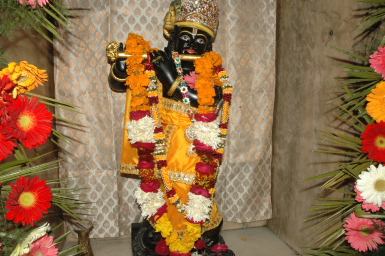 Pratishtha Mahotsava – Sri Viswanath Mandir | The Divine Life Society